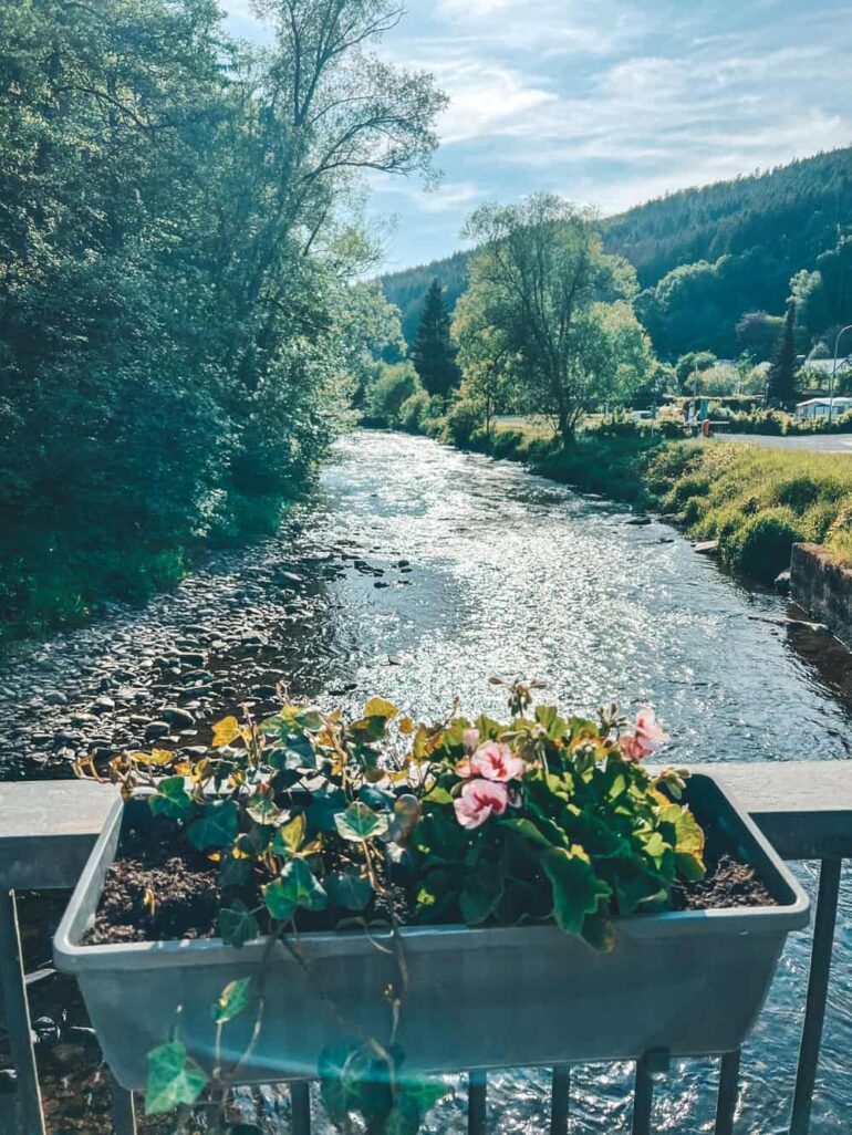 3 Campingplätze in der Eifel für Naturliebhaber