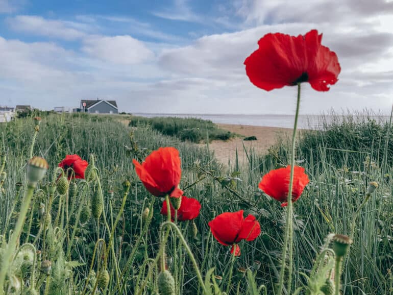 Roadtrip durch England – Traumroute entlang der Ostküste
