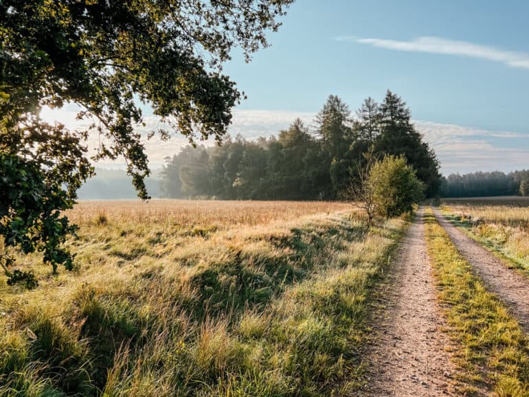 Wendland Geheimnis Wo Liegt Das Wendland Und Warum Solltest Du Es Kennenfeed